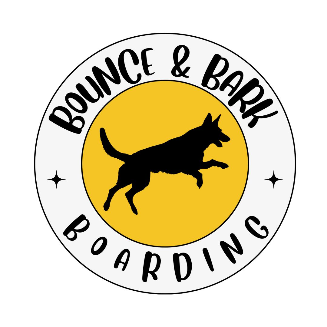 Interview - Bounce and Bark